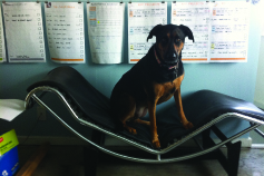 blog on modern architecture, design, development and modative ...