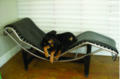 blog on modern architecture, design, development and modative ...